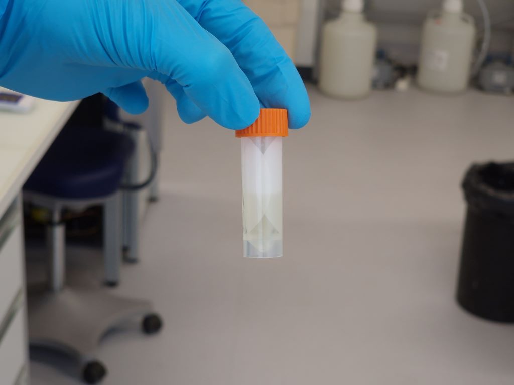 E. coli Test Kits | rqmicro - make water safe